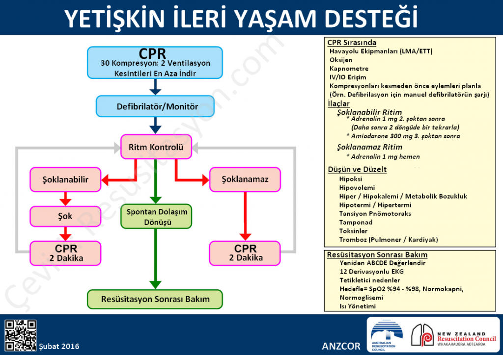 ANZCOR 2016 Algoritmaları | Resüsitasyon